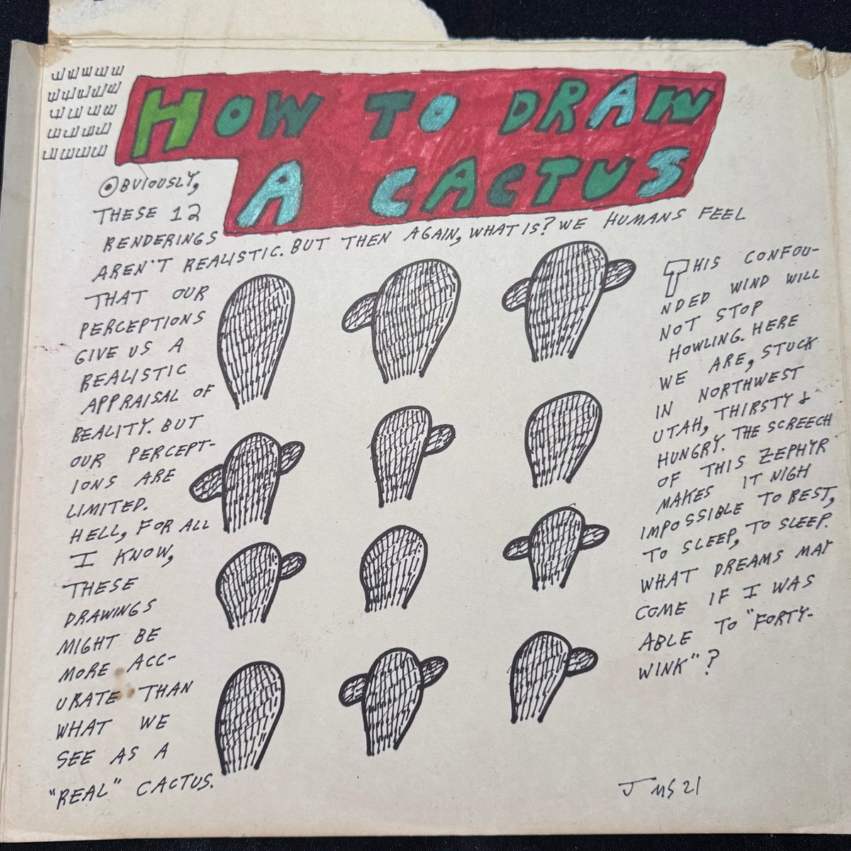 How to Draw a Cactus – Jon Sarkin
